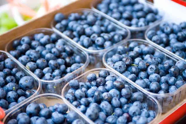 Cómo congelar los arándanos para el invierno en el refrigerador (congelador): propiedades útiles, contenido calórico de las bayas congeladas 9666_2