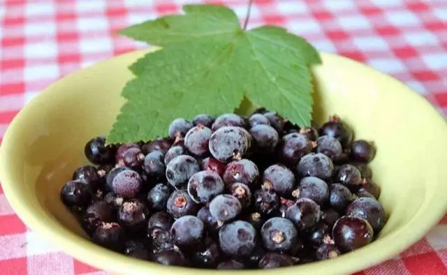 হিমায়িত কালো এবং লাল currants: দরকারী বৈশিষ্ট্য, ক্ষতি 9680_12