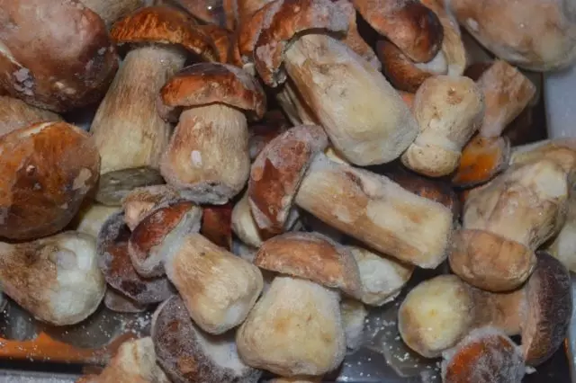 Gukonjesha boletus: gushya, gutetse, gutunganya mbere yo gukonjesha muri firigo 9696_4