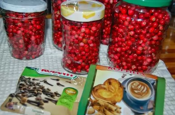 Lingonberries trong nước trái cây của riêng họ cho mùa đông: 6 công thức 9744_3