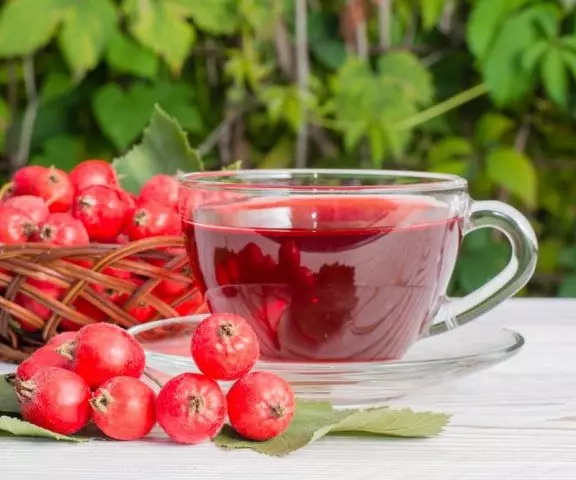 Compote d'aubépine: recettes pour l'hiver et pour tous les jours, avantages et inconvénients 9746_4