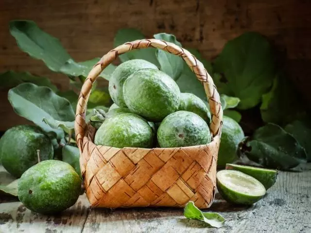 Feijoa রেসিপি 9804_14