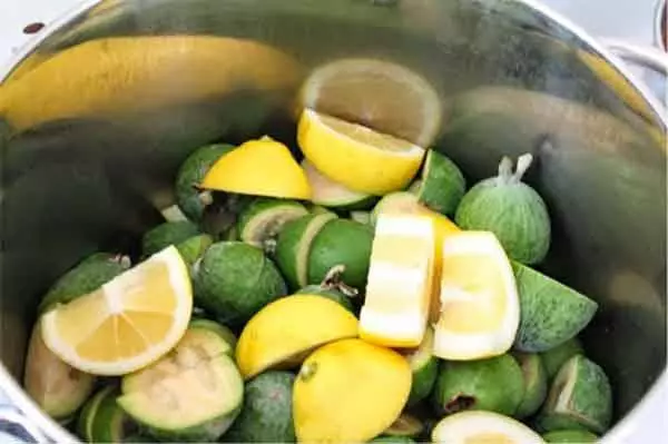 Feijoa-Rezepte 9804_8