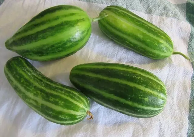 Saladên xiyaran di ava tomatoyê de ji bo zivistanê: birrîn, parçe, perçe, rêçikên gav-gav-gav ên bilez û xweş ên bi wêne, bêyî sterîlîzekirin 9822_1