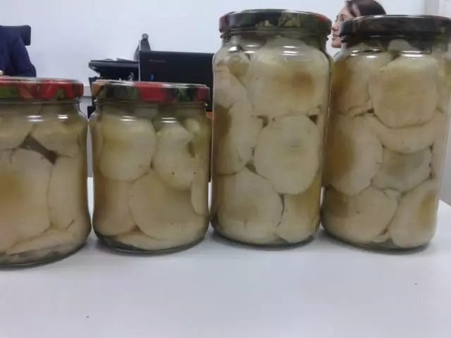 Cogomelos de leite en aceite: como cociñar salgados e en escabeche, receitas para o inverno, calorías 9845_4