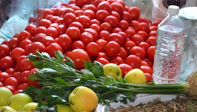 Tomates marinados con manzanas para el invierno: 13 recetas 9908_2