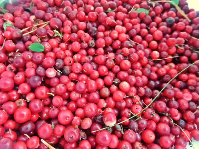 Gedämpfte Preiselbeeren im Ofen, im Slow Cooker, auf dem Herd: 6 Rezepte 9944_1