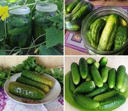 Prague cucumbers don hunturu tare da lemun tsami 9969_3