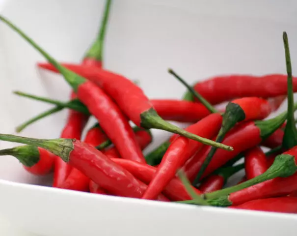 Armenísk beisk paprika fyrir veturinn: heit, chili, heit, salt, steikt, í bitum 9999_10